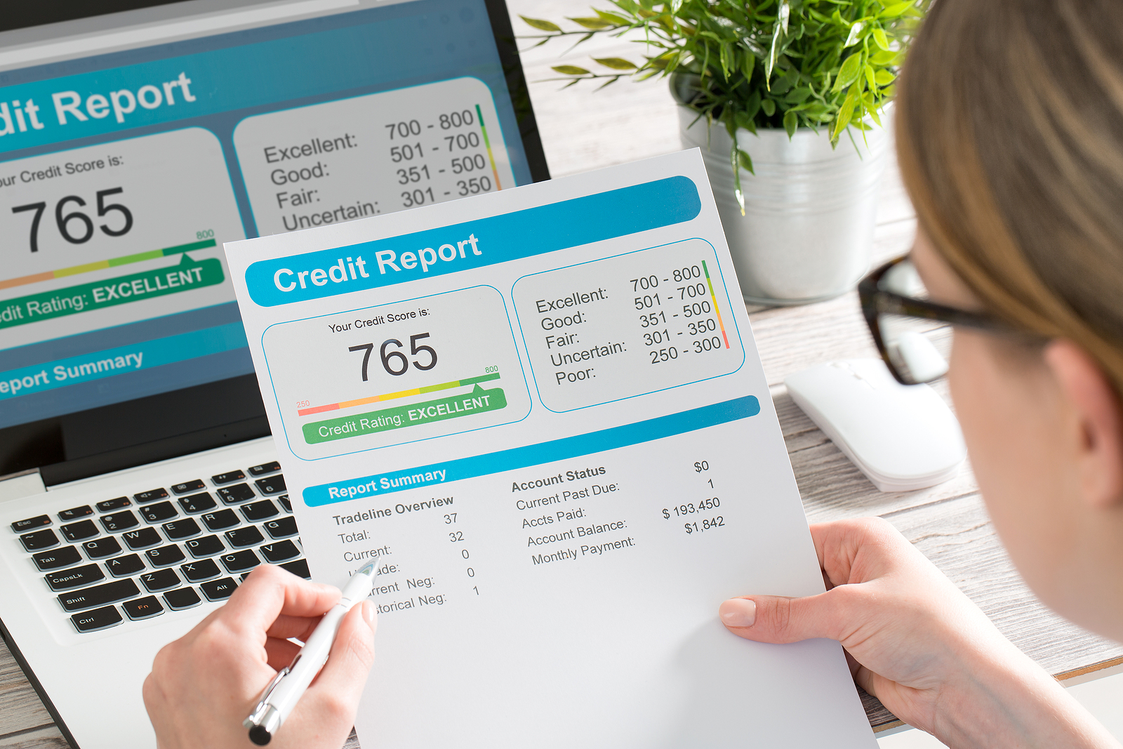How to Read Your Credit Report - American Credit